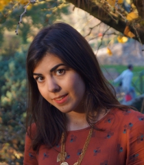 Laura Gillet - Stage professionnalisant - Psychologie sociale